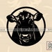 Cow Head Svg Cricut, Heifer Clipart, Farm Animal Png, Angus Cow Face ...
