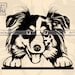 Australian Shepherd Svg, Dog Svg Files for Cricut, Mini Aussie Face ...