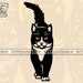 Cat SVG Files for Cricut, Dxf Plasma Files, Domestic Animal Png Clipart ...