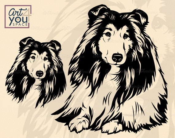 Shetland Sheepdog Svg Rough Collie Dog Svg Files for Cricut - Etsy