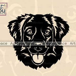 Toller Dog Svg Cricut, Nova Scotia Duck Tolling Retriever Face Clipart ...