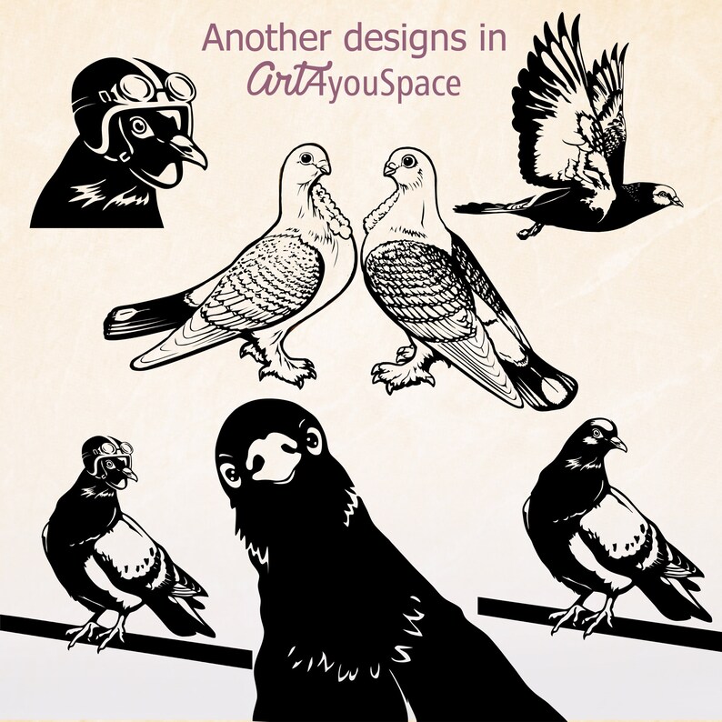 Funny Peeking Dove Svg File Cricut Pigeon Vector Peekaboo - Etsy Canada