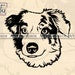 Miniature Australian Shepherd SVG PNG DXF, Dog Cricut Project, Mini ...