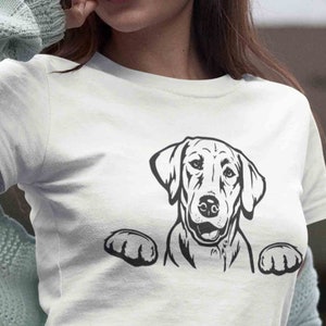 Labrador Retriever Svg, Funny Lab Clipart, Cricut, Hunting Dog Face ...