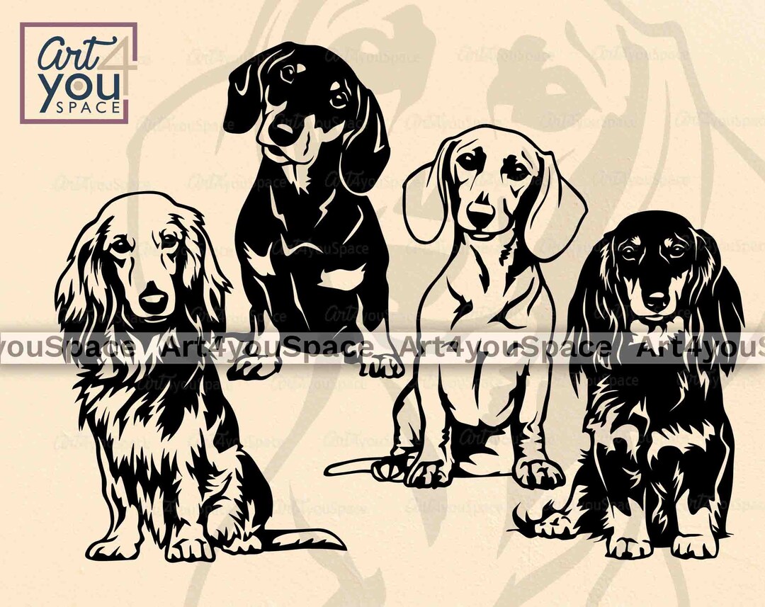 Dachshund Svg, Dog Cricut Project, Long Hair Doxie Sitting Vector ...