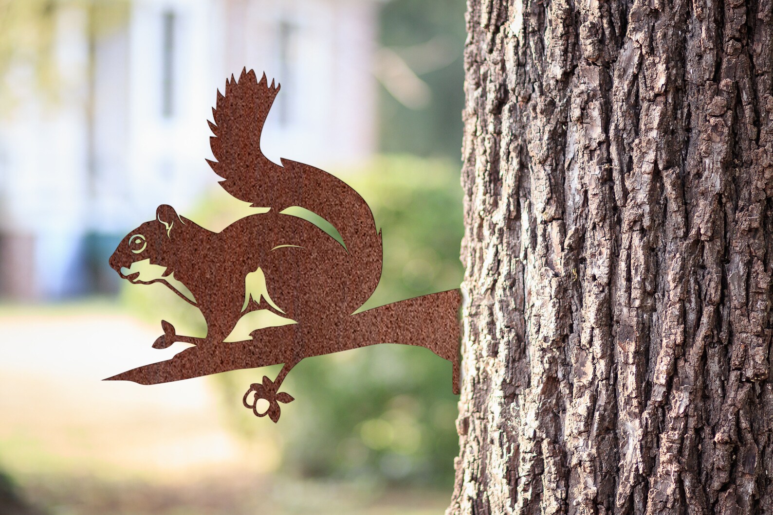Squirrel SVG File for Cricut Woodland Animal Clipart | Etsy