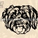 Schnoodle Dog Svg Files for Cricut Project, Vector Image, Peeking Pet ...