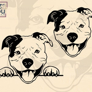 Pit Bull Svg, Dog Svg, Cricut, Funny Face, Head Clipart, Png, Peek a ...