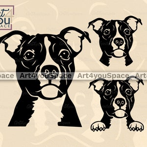 English Staffordshire Terrier SVG Dog Cricut Project Download, Staffie ...