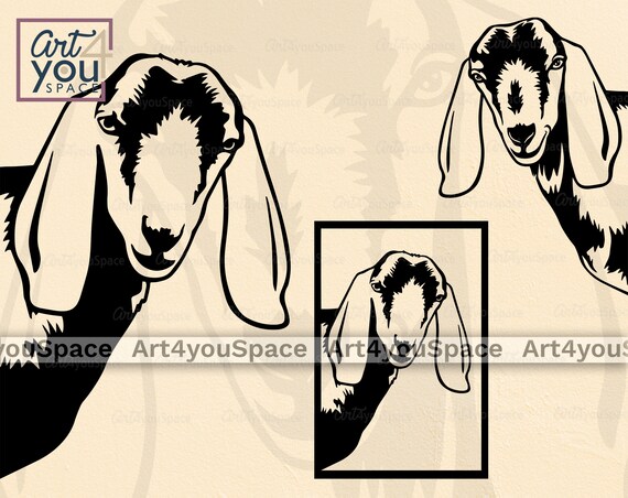 Nubian Goat Face Drawing Nubian Goat Svg Files For Cricut, Dxf,