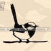 Blue Wren Svg Files for Cricut, Australian Bird on Branch Vector for ...