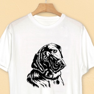 Labrador Svg, Dog Svg Cricut, Lab Face Clipart, Head, Download Vector ...