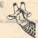 Giraffe SVG, Africa, Safari Animal, Wild Life, Funny Giraffes, Head ...