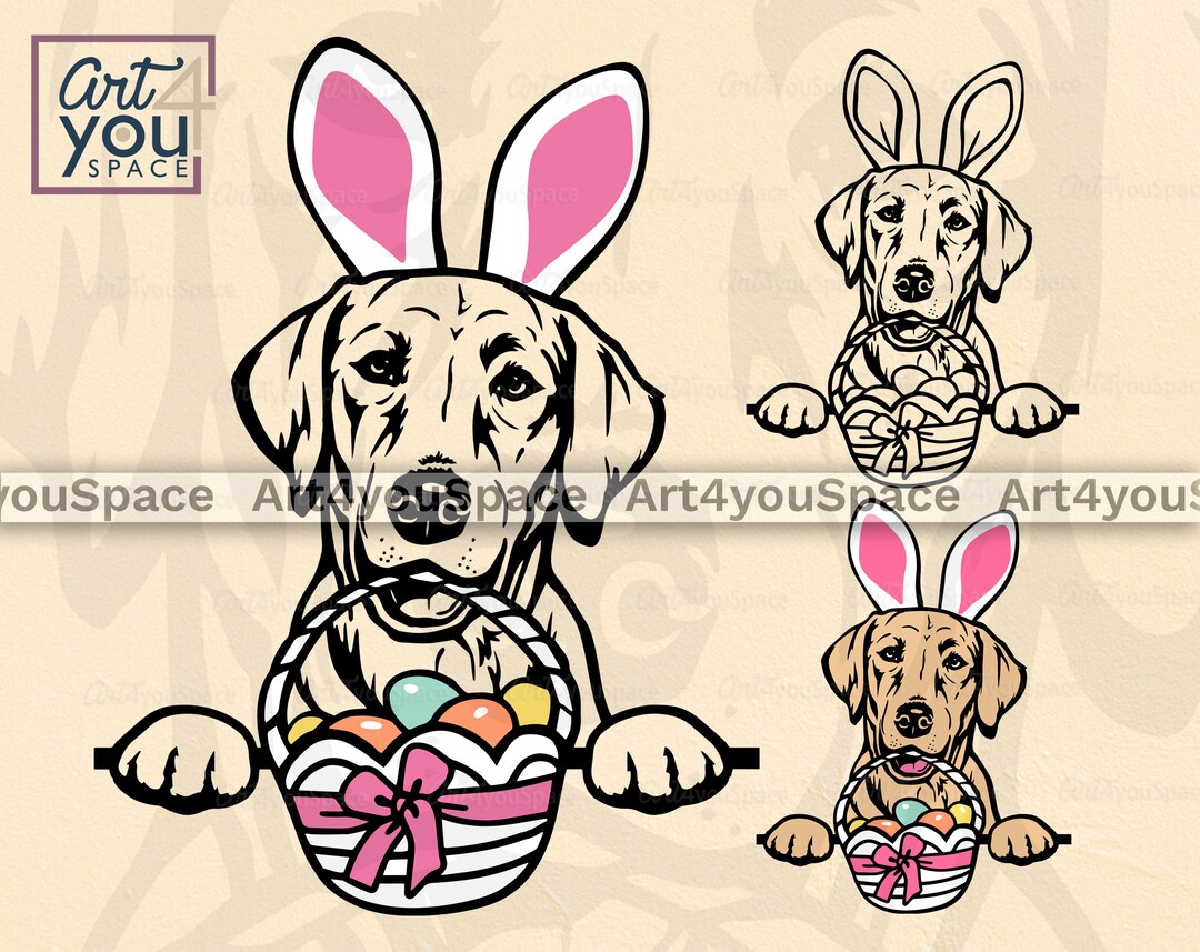 Labrador Retriever SVG Cricut, Easter Dog Bunny Ears, Digital Download ...