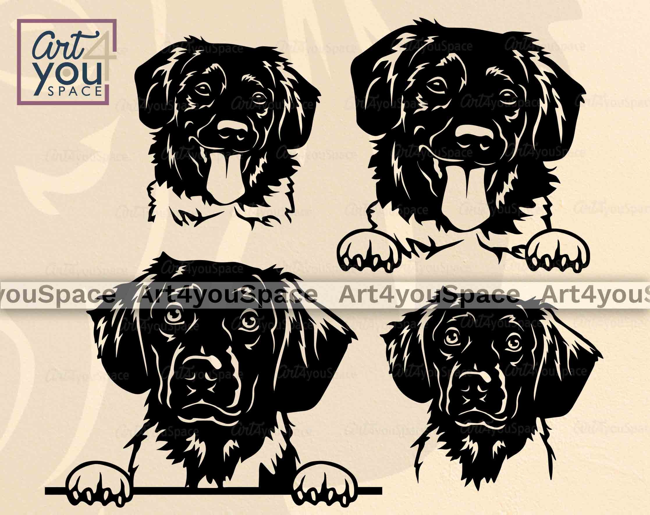 Stabyhoun Svg Dog Svg Cricut Breed Pet Face Head Clipart - Etsy