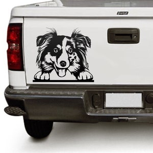 Australian Shepherd Svg, Dog Svg Files for Cricut, Mini Aussie Face ...
