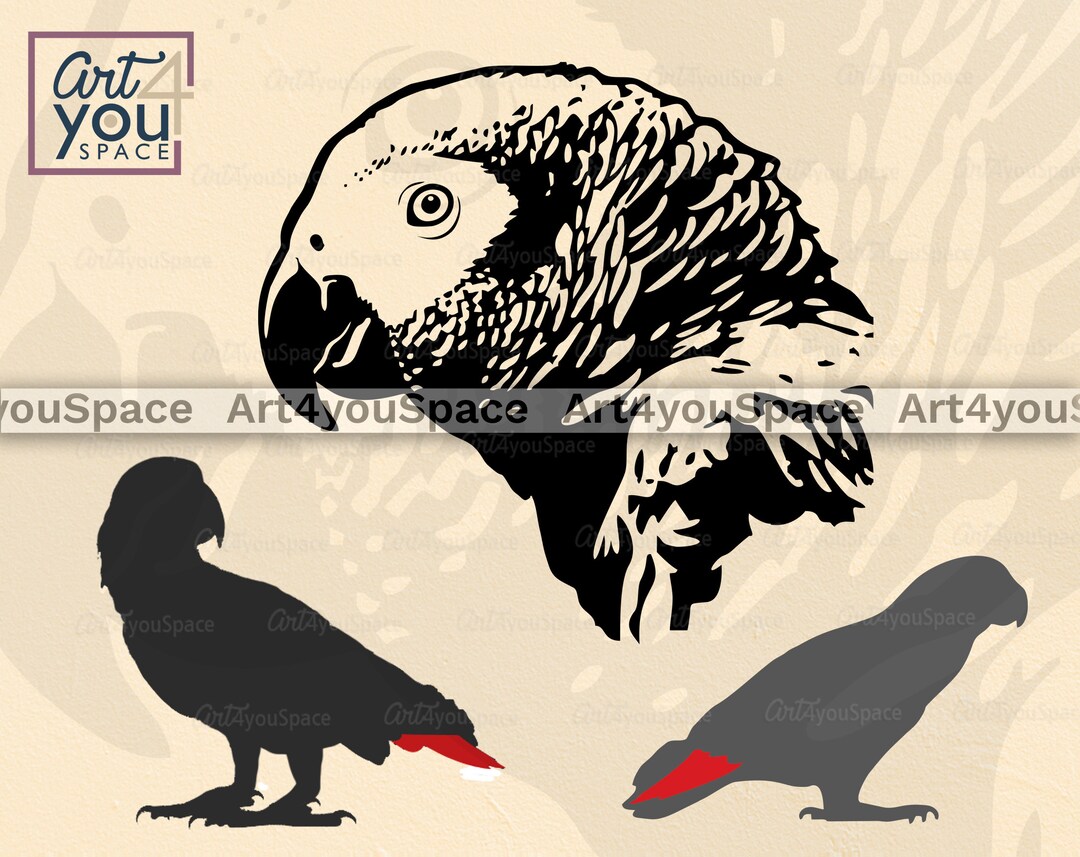African Grey Parrot, Parrot Svg, Bird Svg, Clipart, Download ...