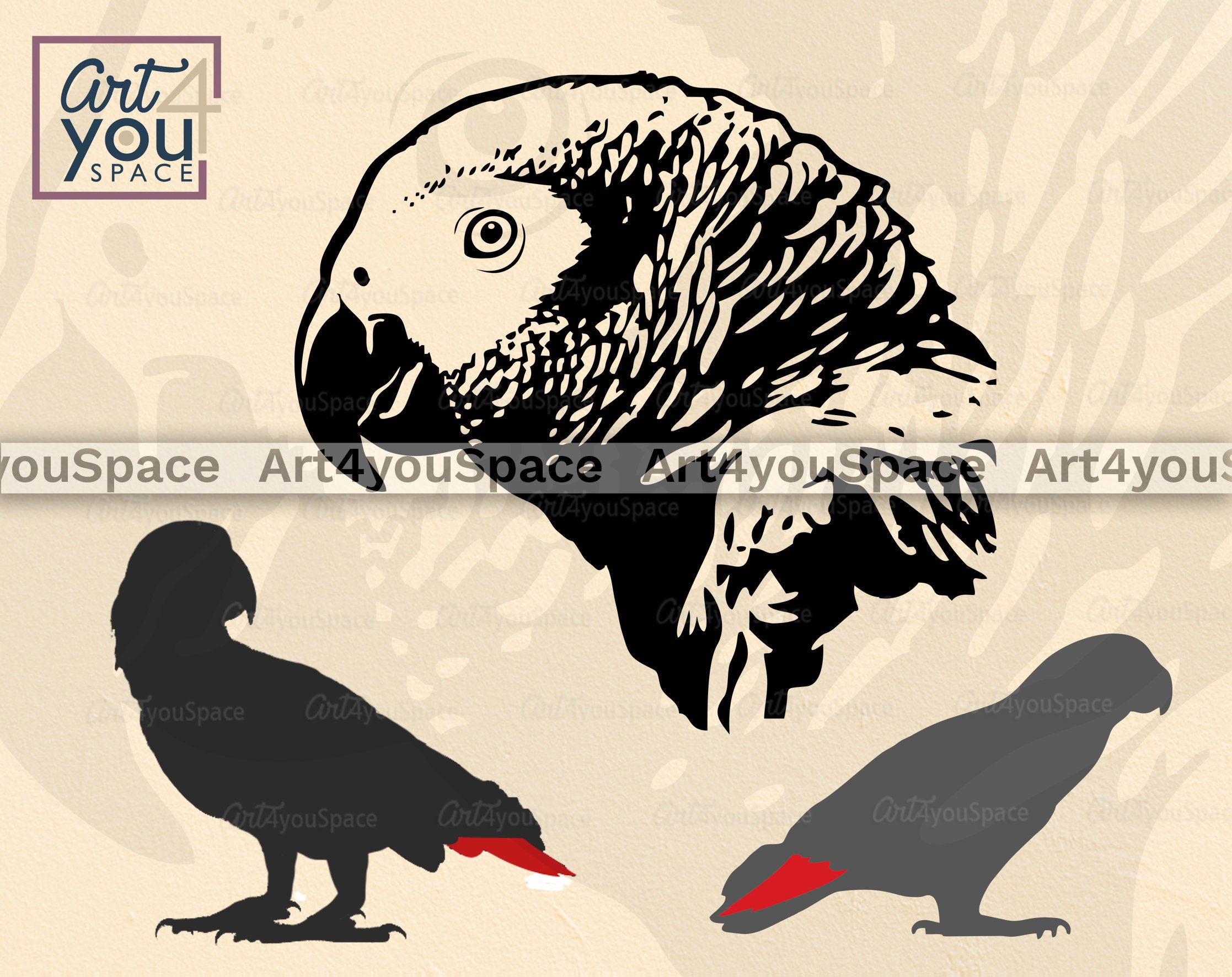 African Grey Parrot parrot svg bird svg Clipart download | Etsy