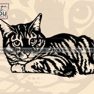 Tabby Cat SVG Files for Cricut, Cute Pet Face Clipart, T Shirt Design ...
