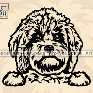 Cavapoo Svg, Dog SVG File Cricut, Cute Puppy Clipart, Download PNG ...