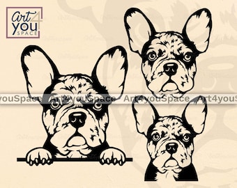 French Bulldog Merle Vector - Etsy