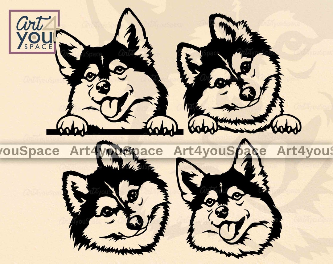 Pomsky Svg, Dog SVG File for Cricut, Cute Pet Face Clipart, Download ...