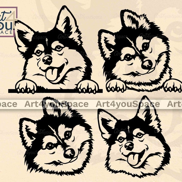 Pomsky Pomsky Svg - Etsy