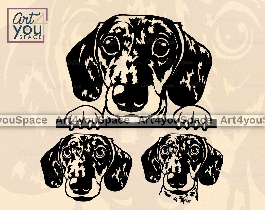 Dapple Dachshund Svg, Doxie, Dog Svg Cricut, Cute Pet Face Peeking ...