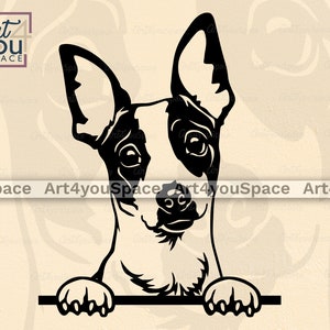 Rat Terrier, Dog Svg Files Cricut, Cute Pet Face Clipart, Animal ...