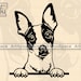 Rat Terrier, Dog Svg Files Cricut, Cute Pet Face Clipart, Animal ...