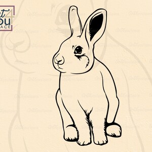 Rabbit SVG, Bunny Svg Files for Cricut, Easter Farm Animal Clipart ...