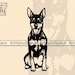 Australian Kelpie Dog Svg File for Cricut, Cnc Laser DXF Vector Art ...