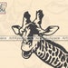 Giraffe SVG, Africa, Safari Animal, Wild Life, Funny Giraffes, Head ...