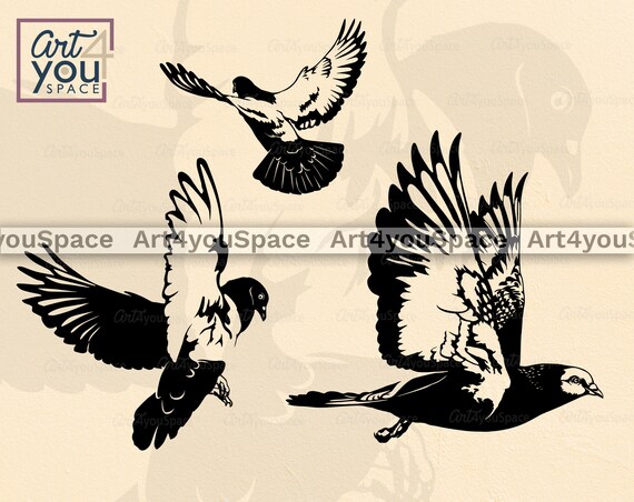 Paper, Party & Kids bird Cut file Clip art Pigeon cutting file SVG ...