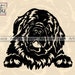 Newfoundland Svg, Dog Svg File for Cricut, Newfie Bandana Clipart ...