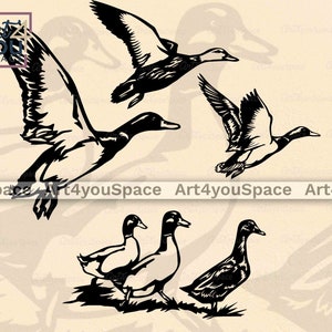Mallard Duck Svg Set, Cricut Project, Clipart Download, Farm Life ...