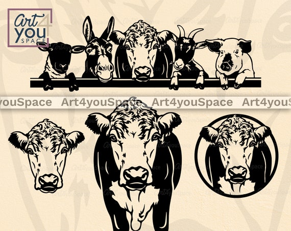 Hereford Cow SVG Files for Cricut Heifer Clipart Download - Etsy