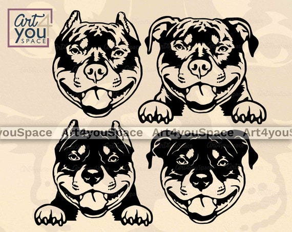 American Bully SVG AI Jpg Png Eps Digital Download Cut