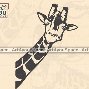 Giraffe SVG, Africa, Safari Animal, Wild Life, Funny Giraffes, Head ...