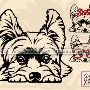 Yorkshire Terrier SVG, Dog Svg Files for Cricut, Cute Silkie Yorkie ...