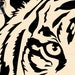 Tiger Head SVG Cricut, Wild Animal Face, Zoo Clipart, Mascot Logo ...