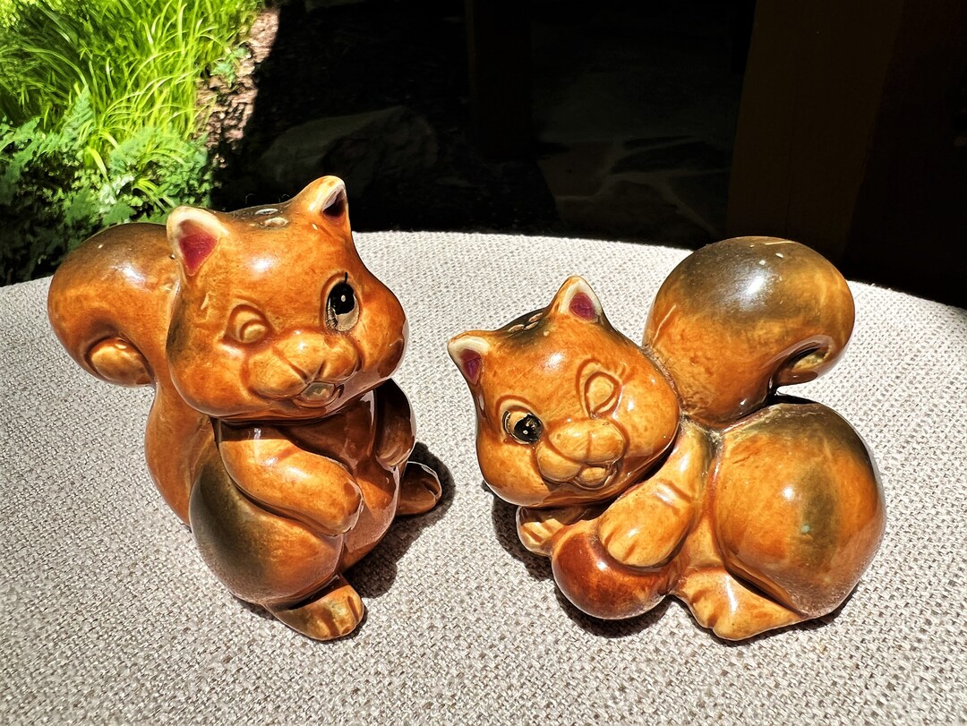 Pair of Winking Squirrel Salt & Pepper Shakers, Squirrel Collection ...