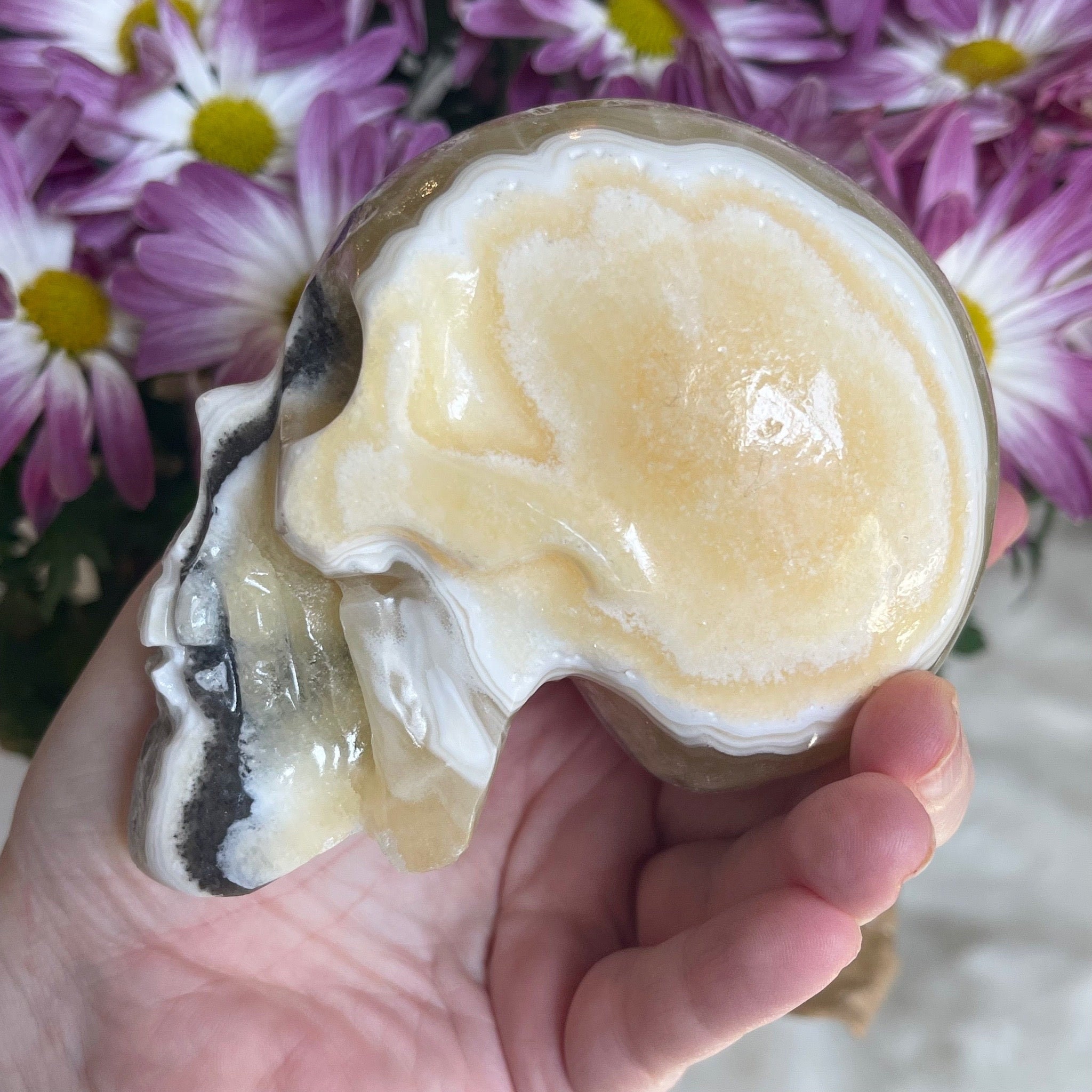 Banded Calcite Crystal Skull - Etsy