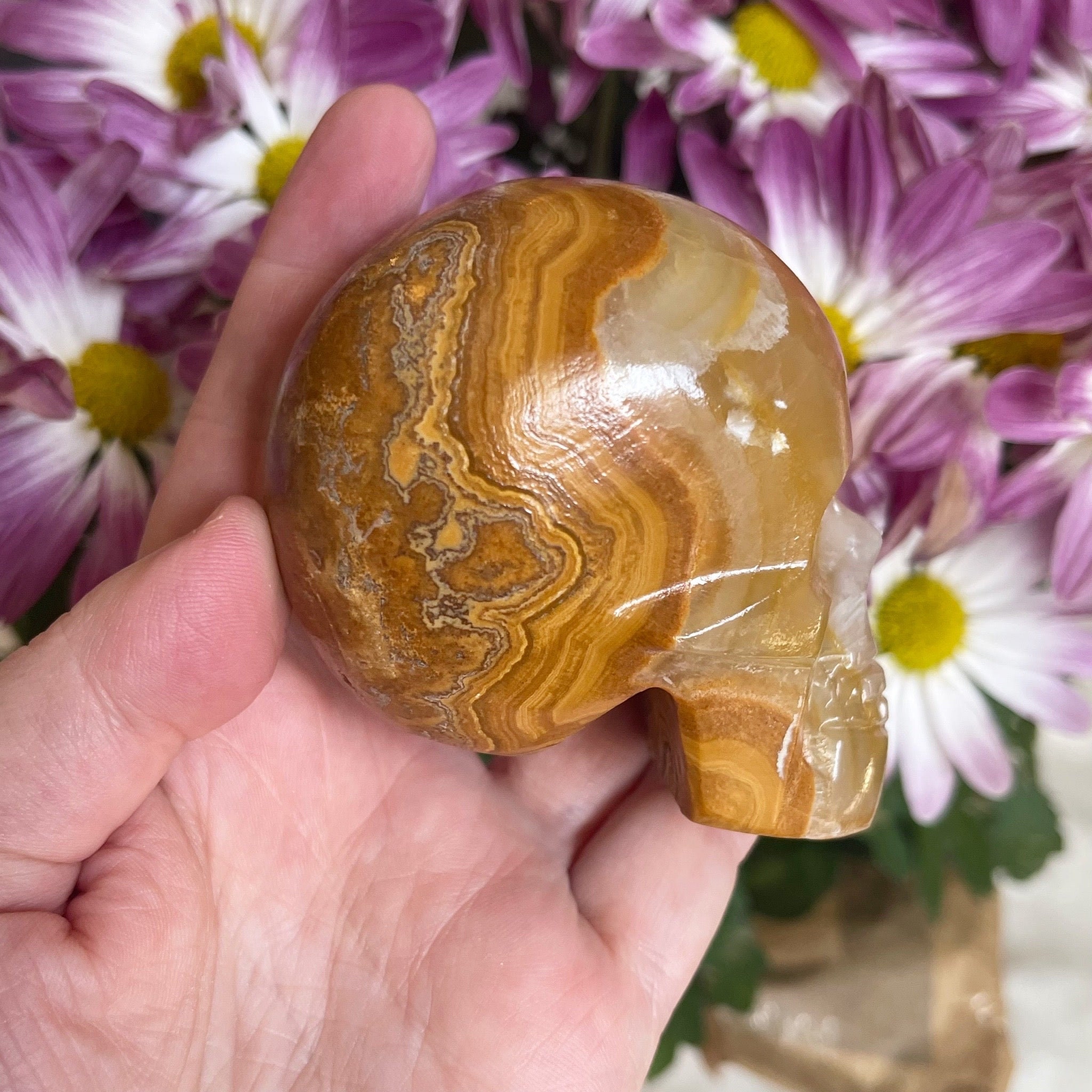 Banded Calcite Crystal Skull - Etsy