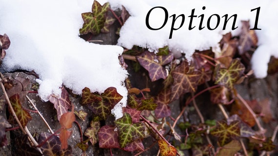 Snow Scene Card Birthday Card Photo Cards A5 Blank - Etsy