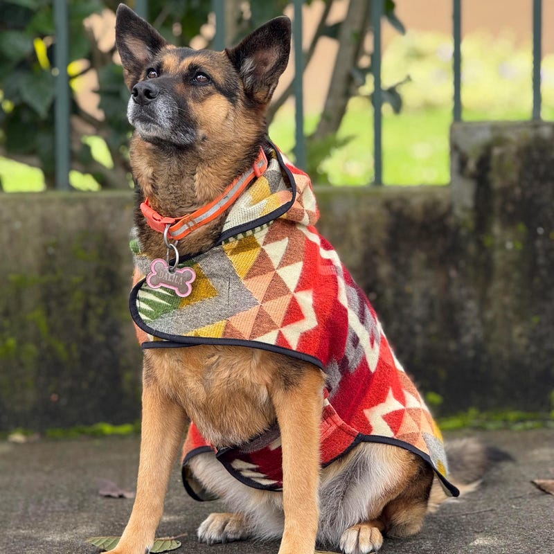 Cold Rainy No - Etsy