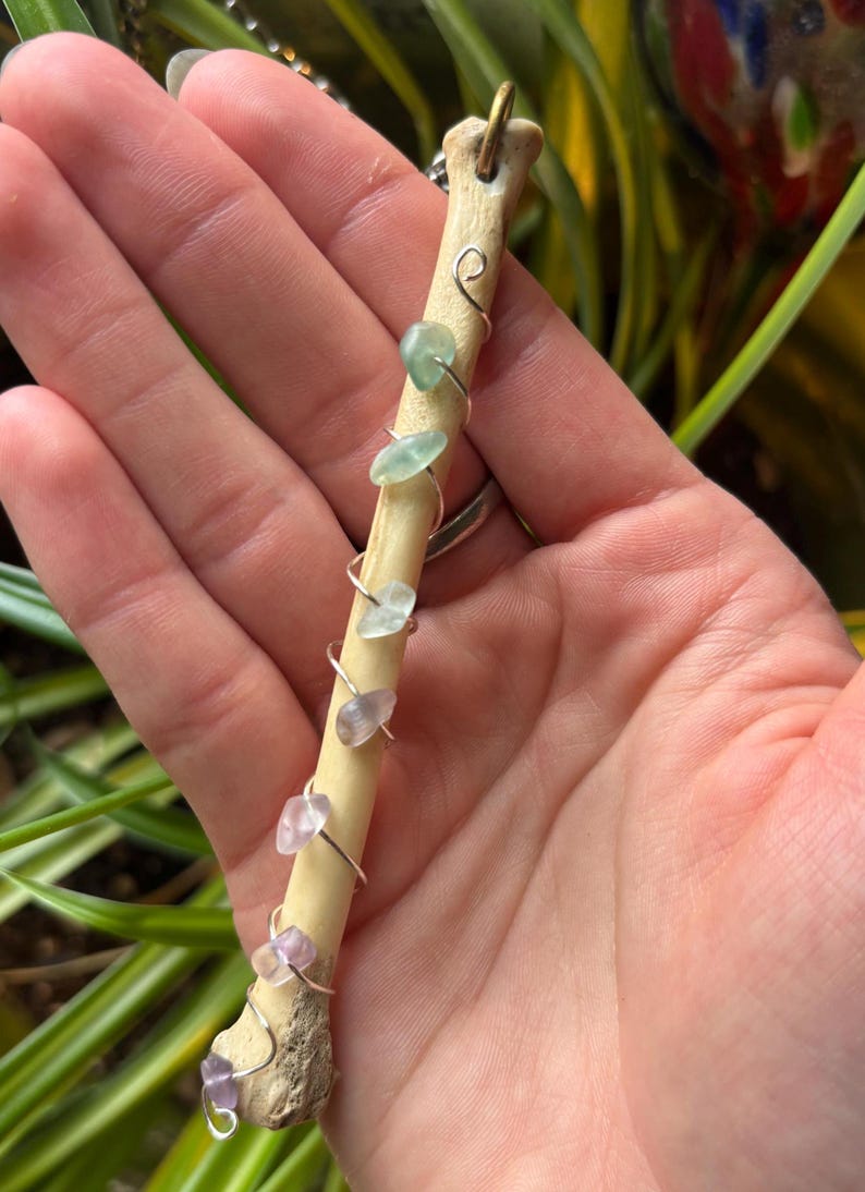 Real Bone Necklace - Groundhog Femur With Fluorite Gradient - Ethically ...