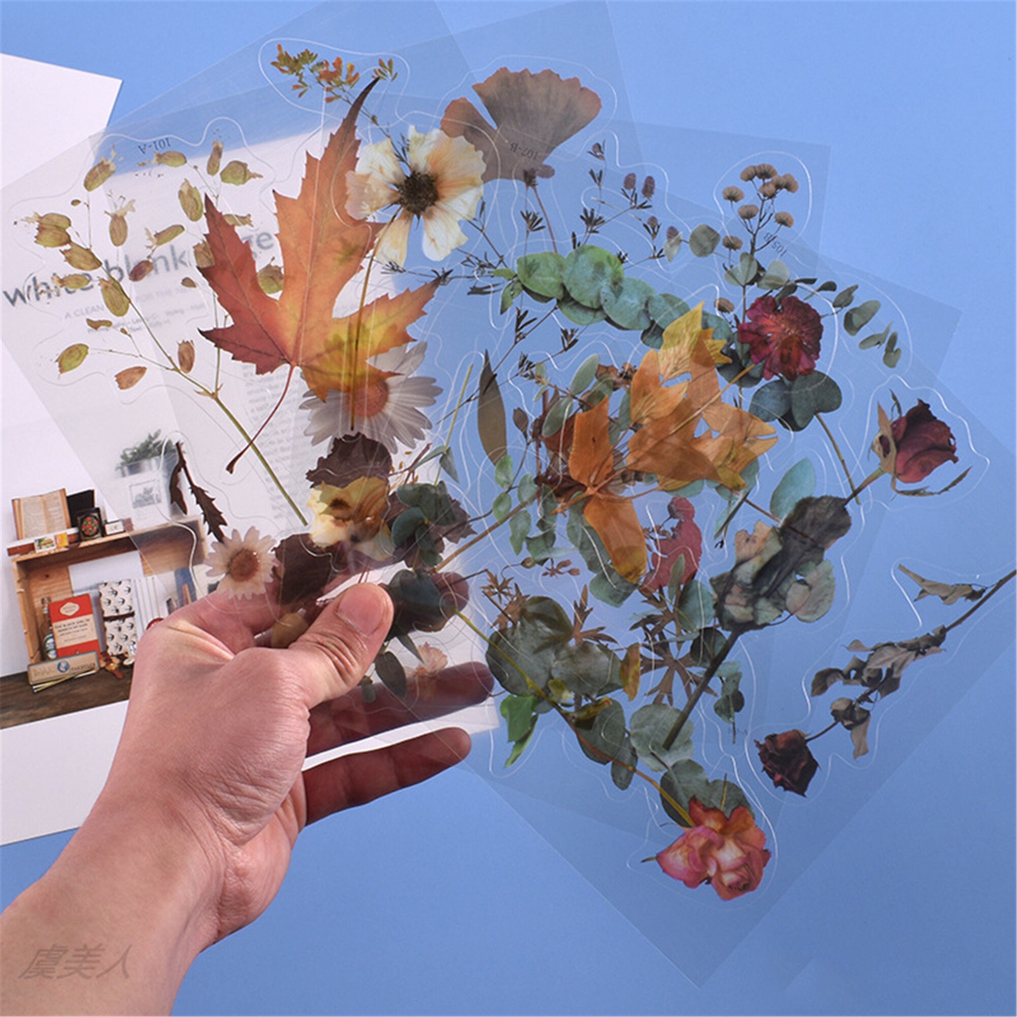 Compressed FlowersPreserved Dried Real FlowerDried | Etsy