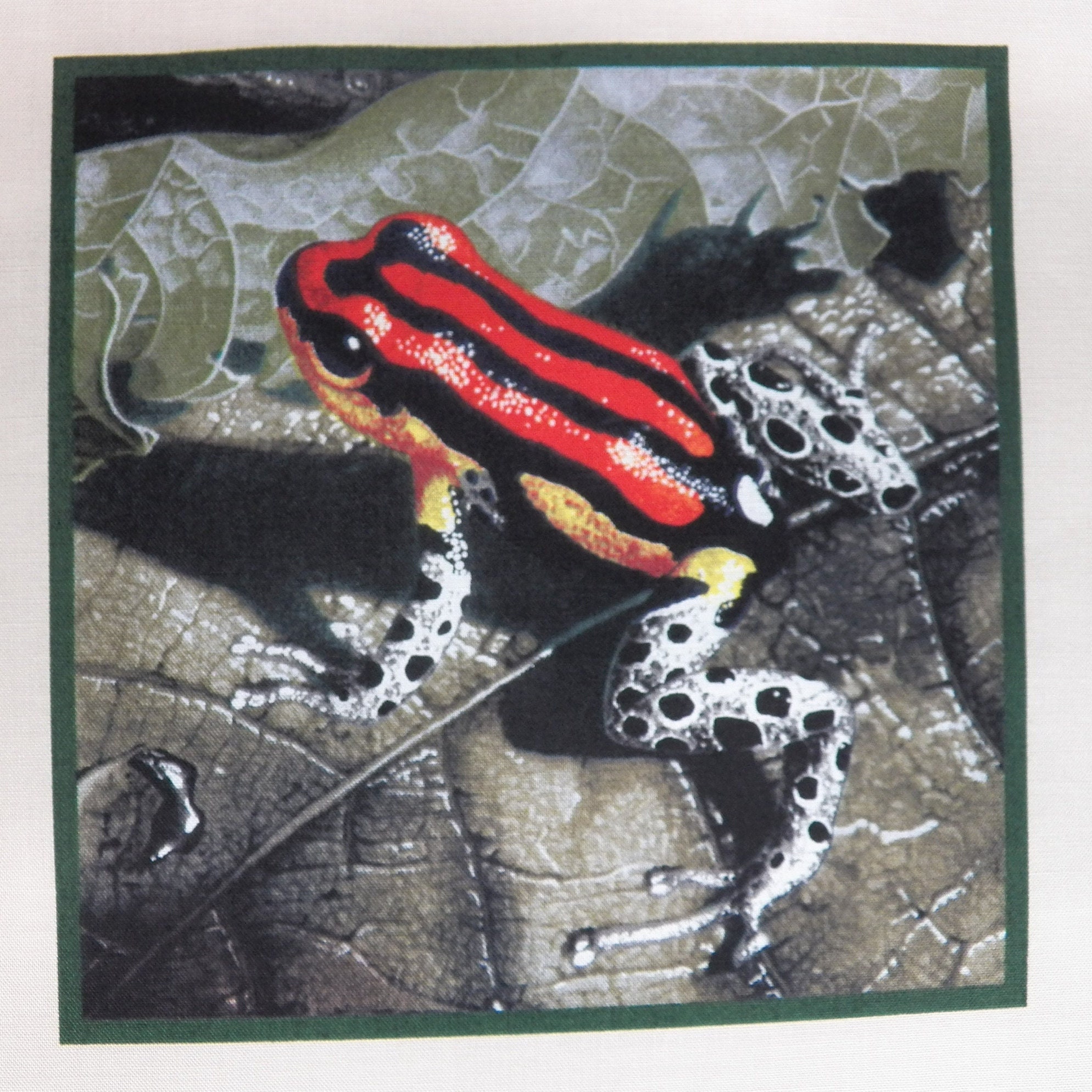 Fabric Panel of 15 Different Colorful Frogs in Nature, Carol Pieter ...