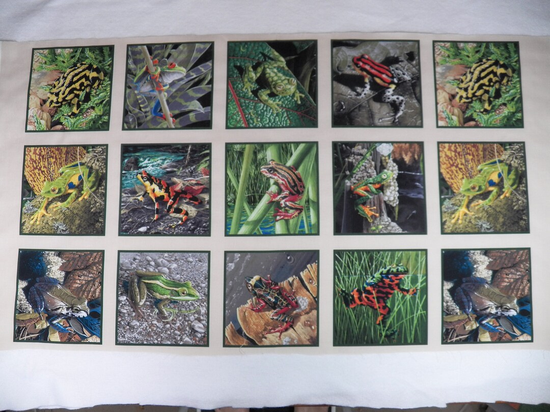 Fabric Panel of 15 Different Colorful Frogs in Nature, Carol Pieter ...